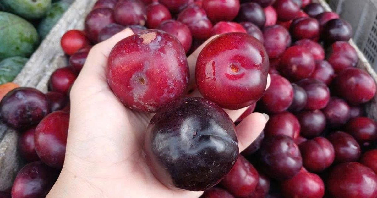 Mận cherry Trung Quốc “đại hạ giá” tràn đầy chợ: 30k/kg, rẻ gấp 10 lần ...