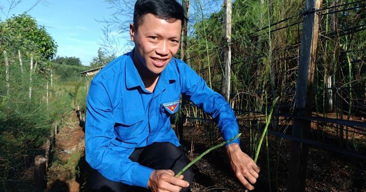 Chàng trai Mường “gây sốt” với mô hình nông nghiệp kết hợp du lịch tại ...
