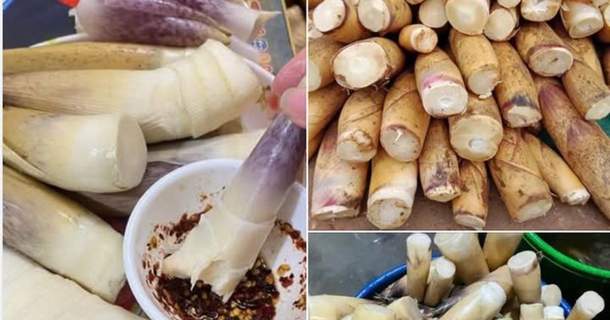 Măng vầu luộc gây "sốt" mạng xã hội nhưng coi chừng NGỘ ĐỘC!